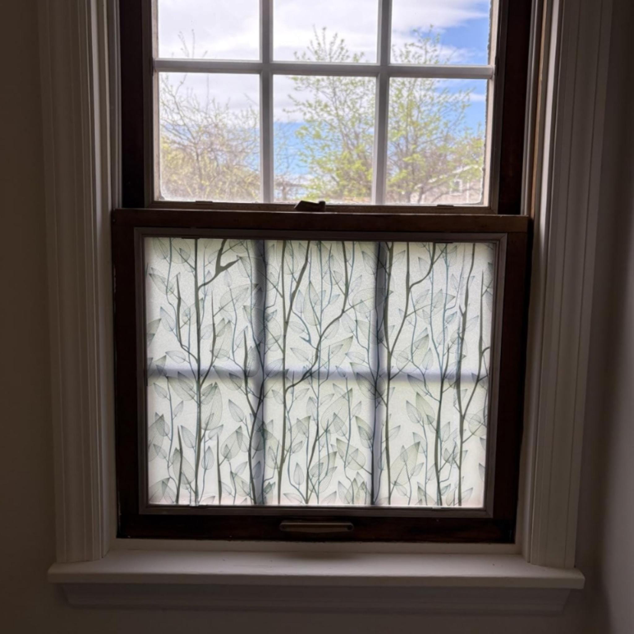 Dark Green Frosted Window Film – Static Cling Privacy Glass Cover With ...
