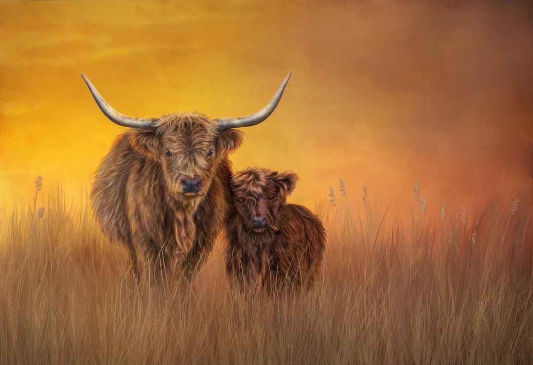Highlander Cow and Calf Digital Painting – Printable Wall Art | Warm ...
