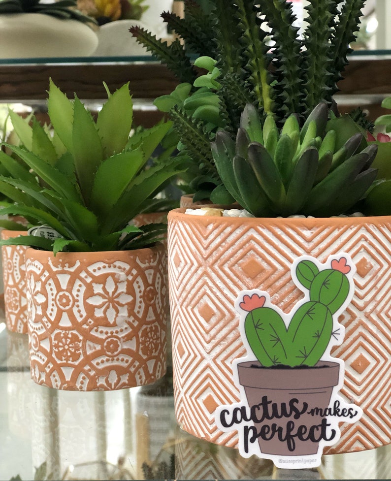 Cactus / Succulent / Plant Lover / Sticker / Motivational Quote ...
