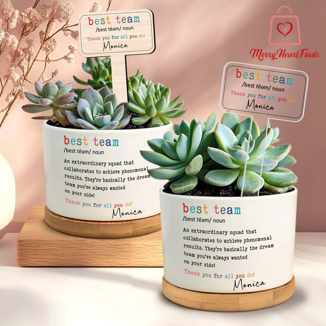 Team Gift, Coworker Appreciation, Best Team Plant Pot, Team Thank You ...