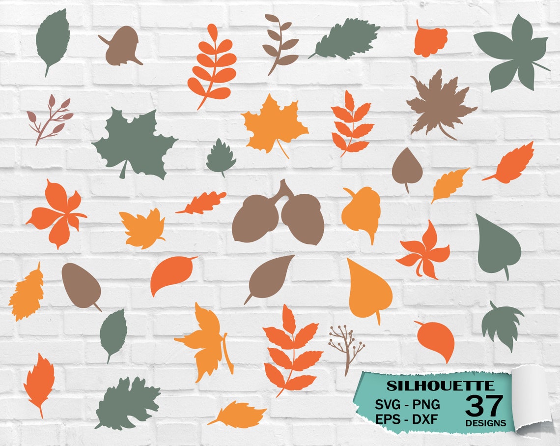 Leaves Svg Bundlefall Leaves Svg Bundle Layered Leaf Svg - Etsy