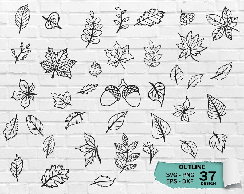 Leaves Svg Bundlefall Leaves Svg Bundle Layered Leaf Svg - Etsy