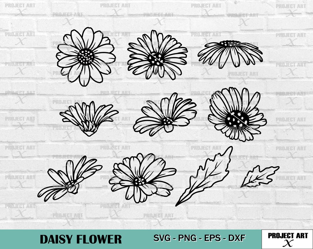 Daisy Svg, Daisy Flower Svg, Spring Svg, Daisy, Daisy Clipart, Daisy ...