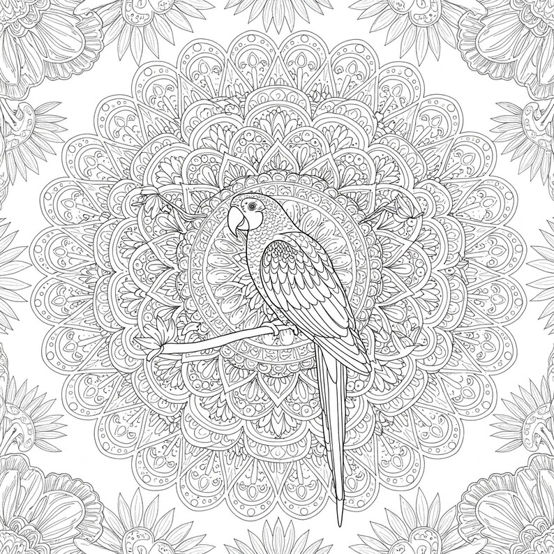 Birds Mandala - Etsy