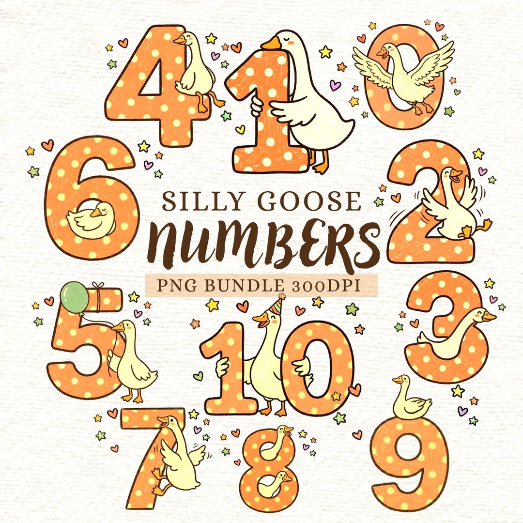 Silly Goose Birthday Shirt PNG, Cute Animal Numbers 0-10, Baby Shower ...