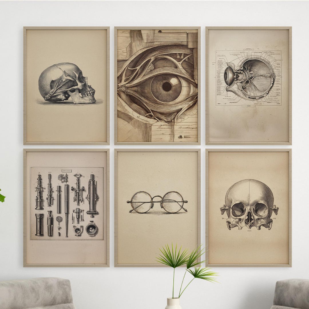 Vintage Eye Anatomy Wall Art | Optometrist Decor Printable Set of 6 ...
