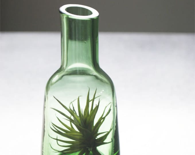 Green Glass Air Plant Vase // Airplant in Small Blown Glass - Etsy