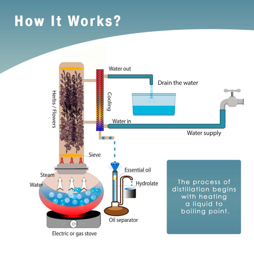 Equipment for Distillation to Distill Essential Oil, Copper ...