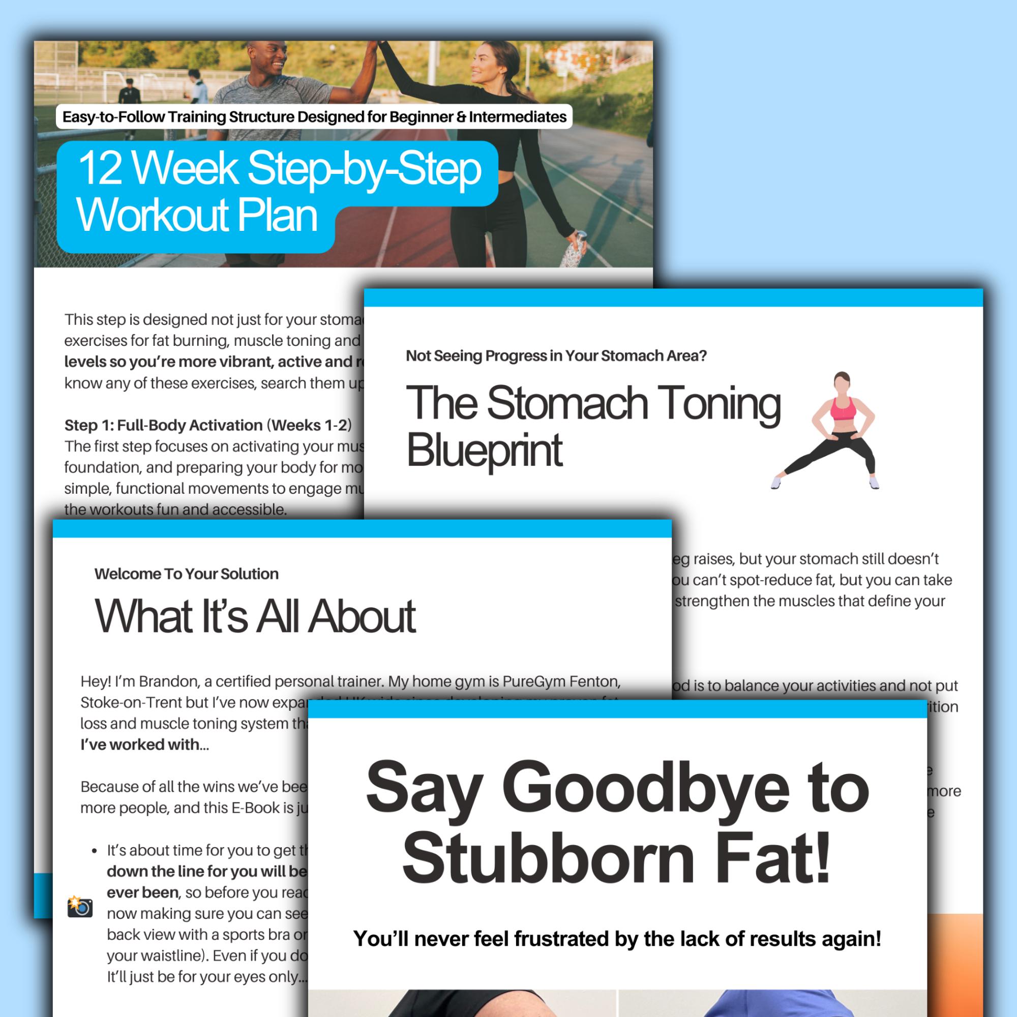 Lose Belly Fat Guide - 12 Week Fat Loss Plan for a Slimmer Waist and ...