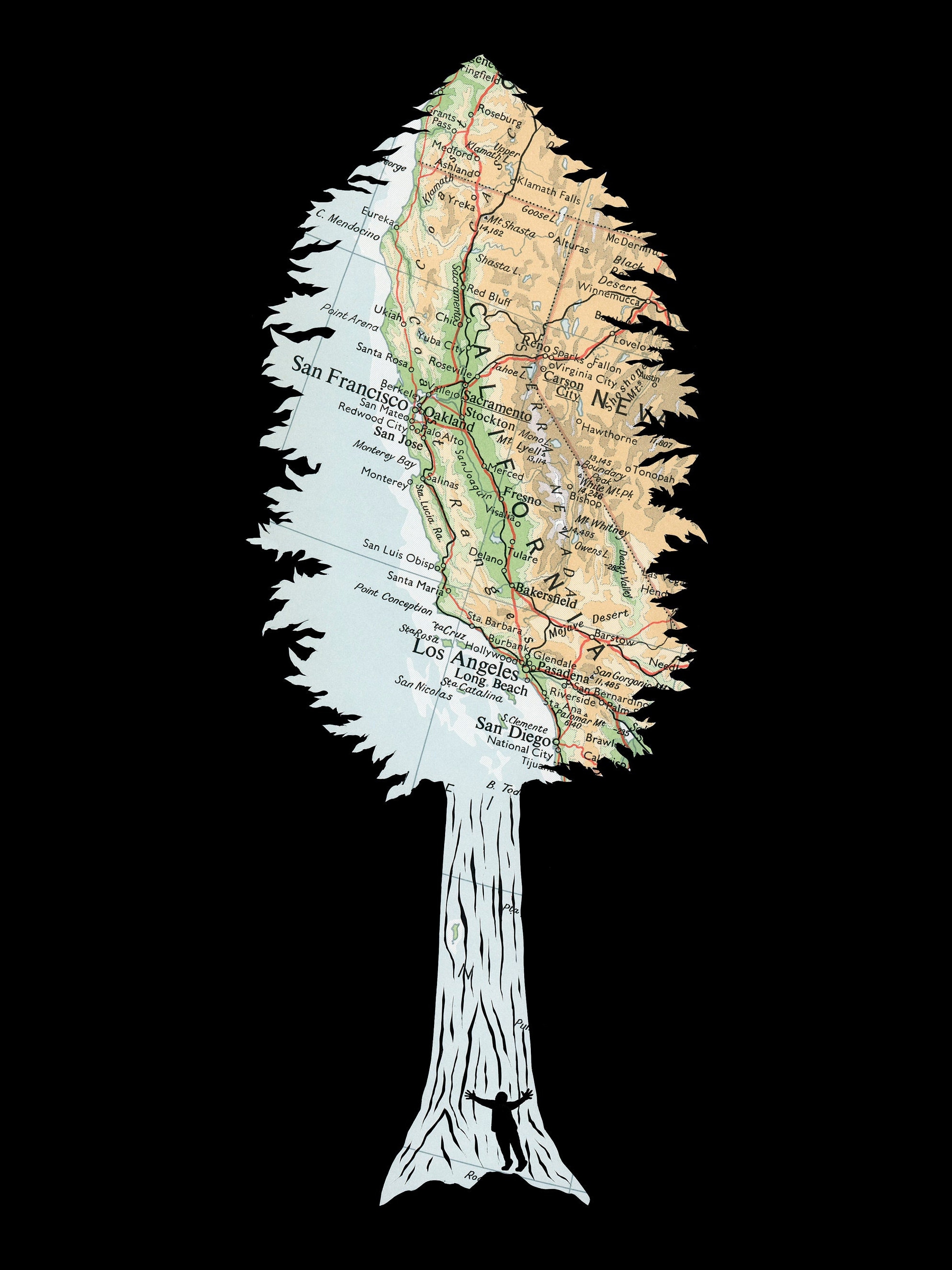 Map of California Redwood Tree Art Print // State of California Map Art ...