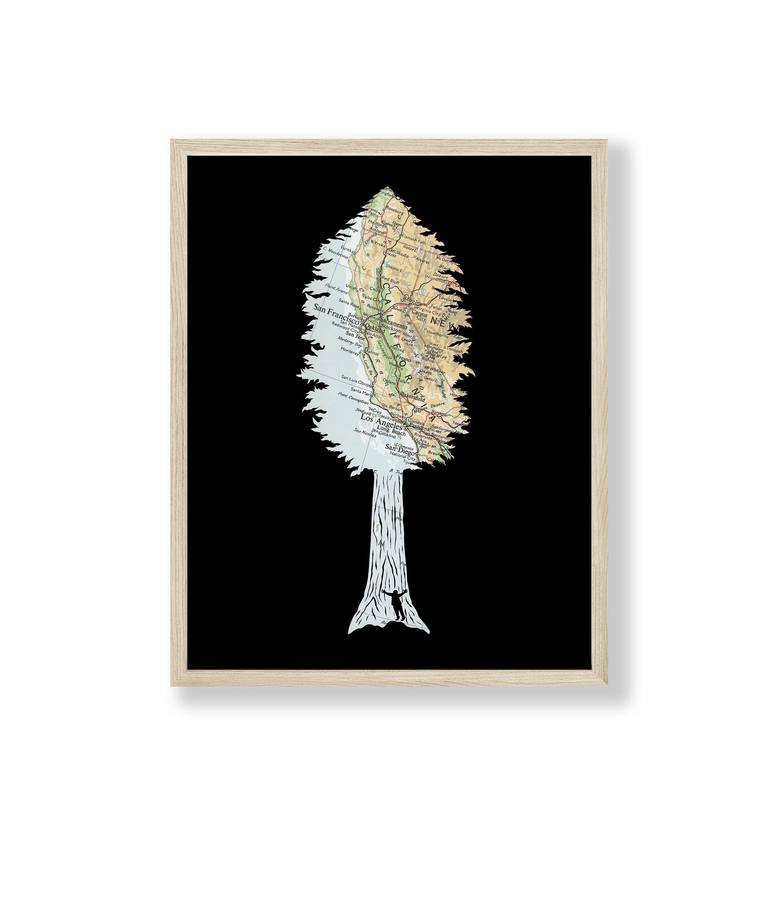 Map of California Redwood Tree Art Print // State of | Etsy