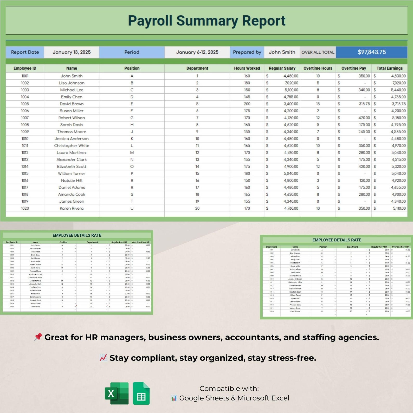 Payroll Summary Report Template | Google Sheets Salary Tracker - Etsy