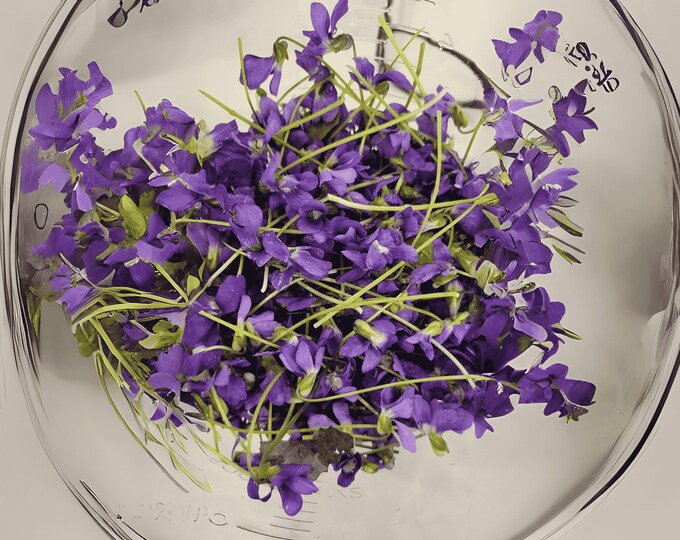 5g Dried Wild Violets - Handpicked, Cleaned, & Naturally Dried Violets ...