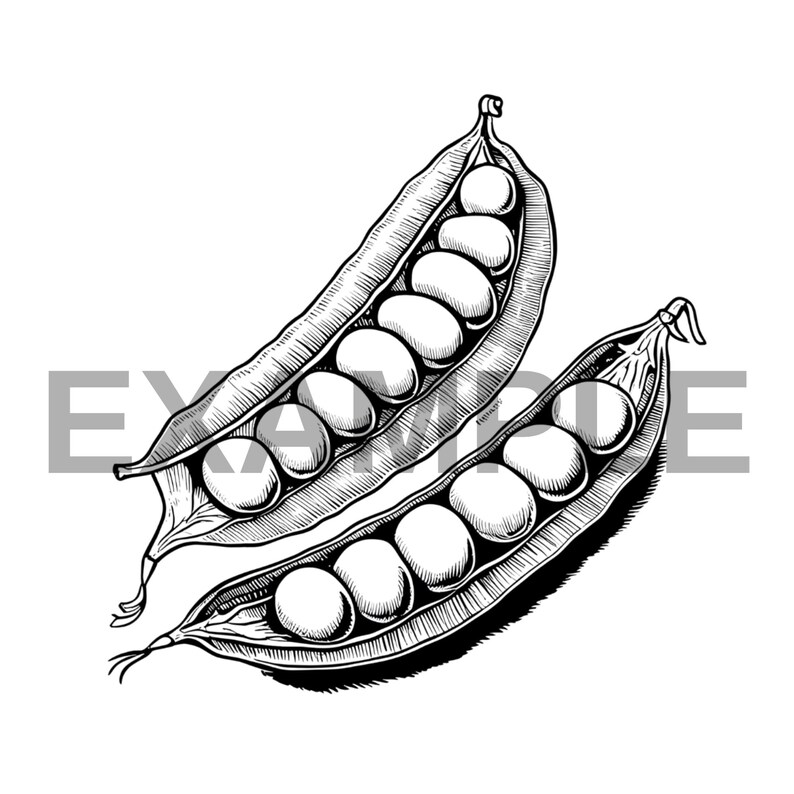 66 Fruit & Vegetable Coloring Pages for Kids – Healthy Foods Fun ...