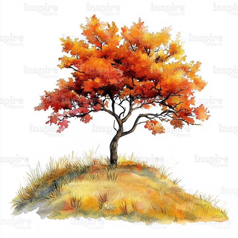 15 Fall Foliage Watercolor Clipart: Autumn Leaves Jpgs (digital ...