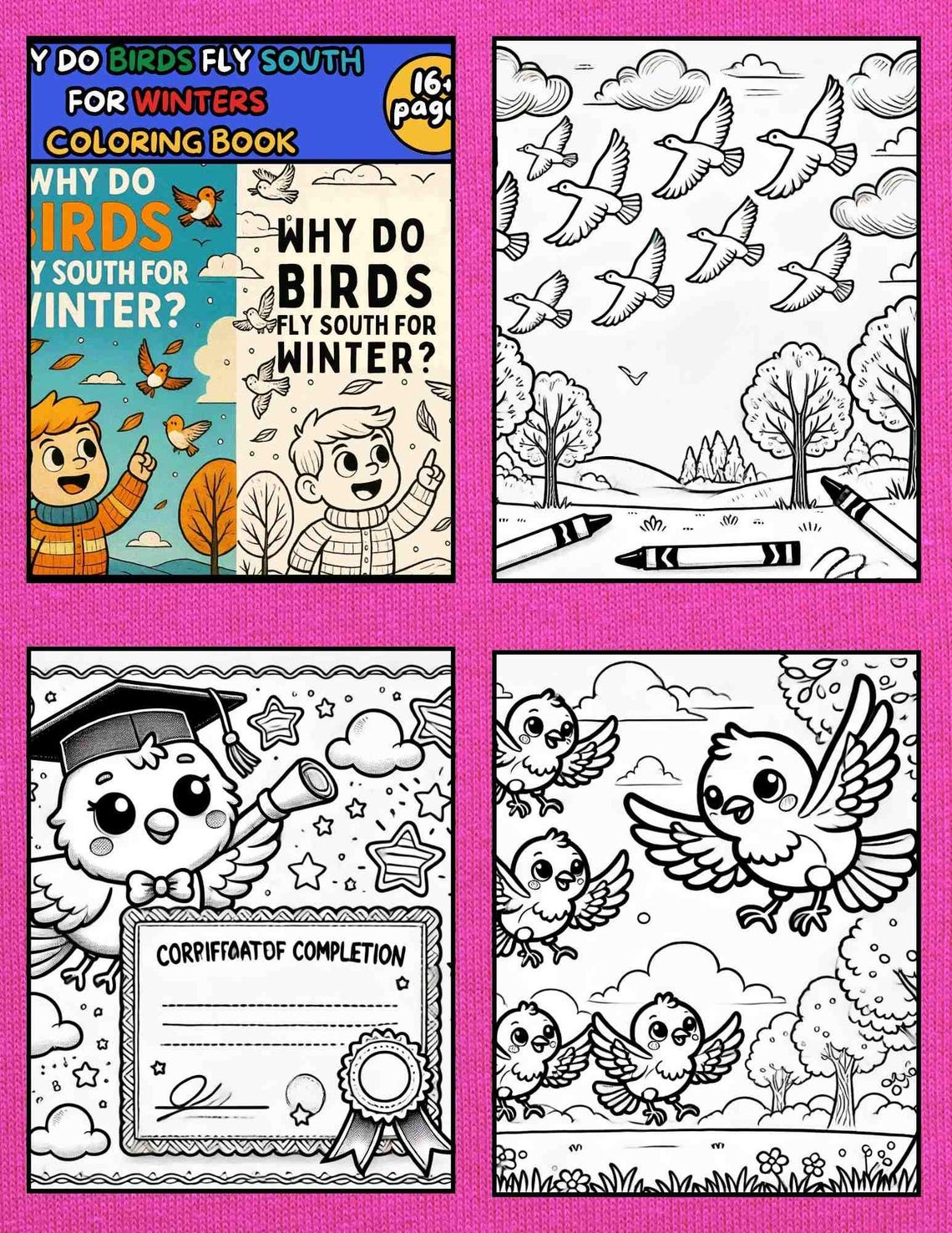 Kids STEM Coloring Book: Why Birds Fly South (printable PDF) - Etsy
