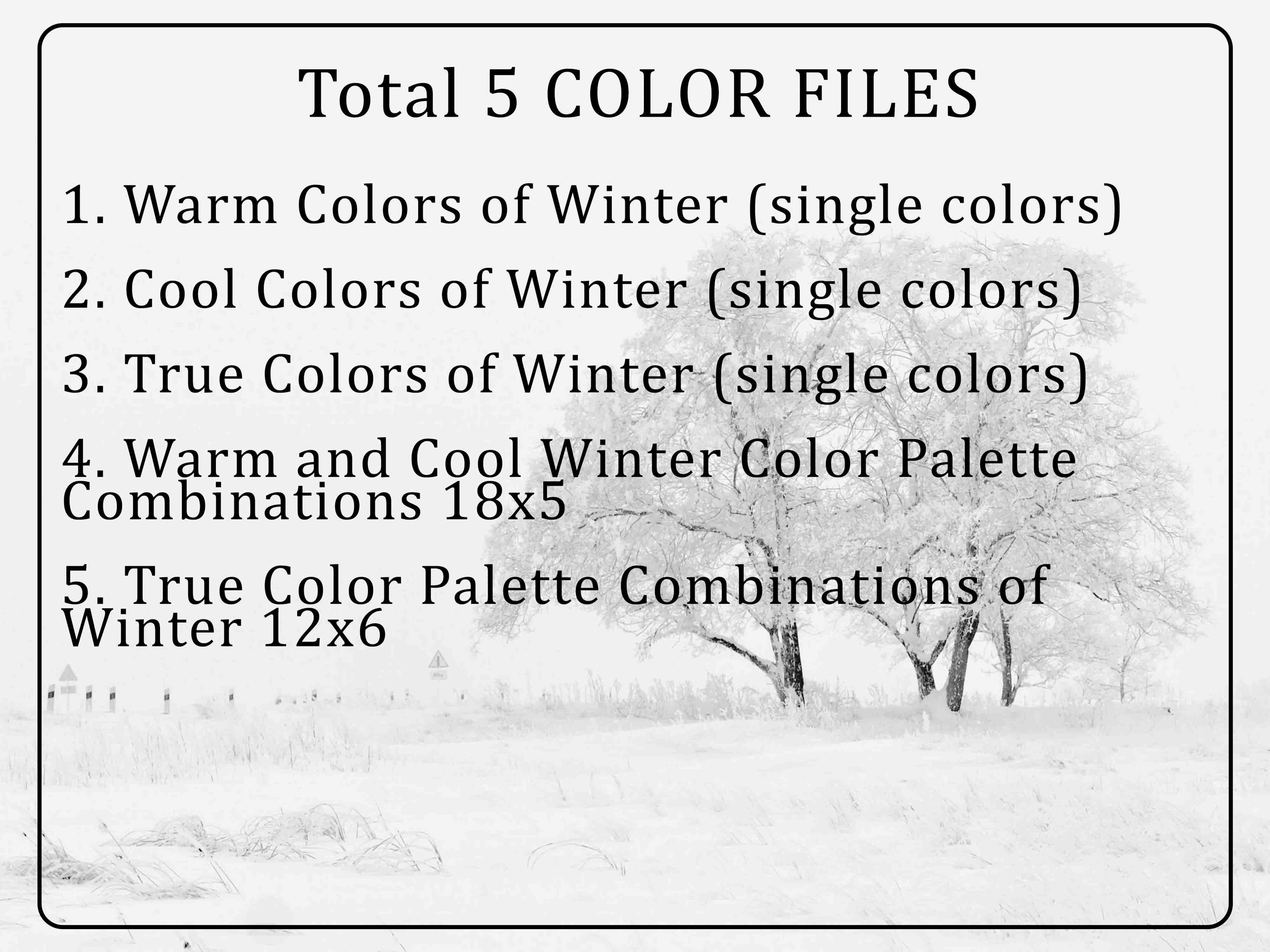 Winter Color Palette Combinations | 242 Colors, Names and HEX Codes (ai ...