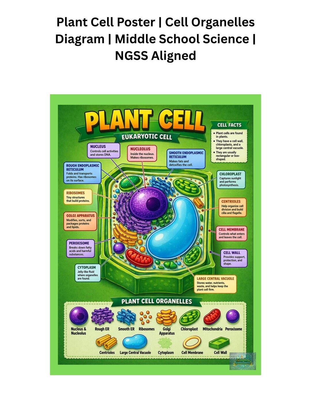 Plant Cell Poster NGSS Aligned PDF Printable - Etsy Canada