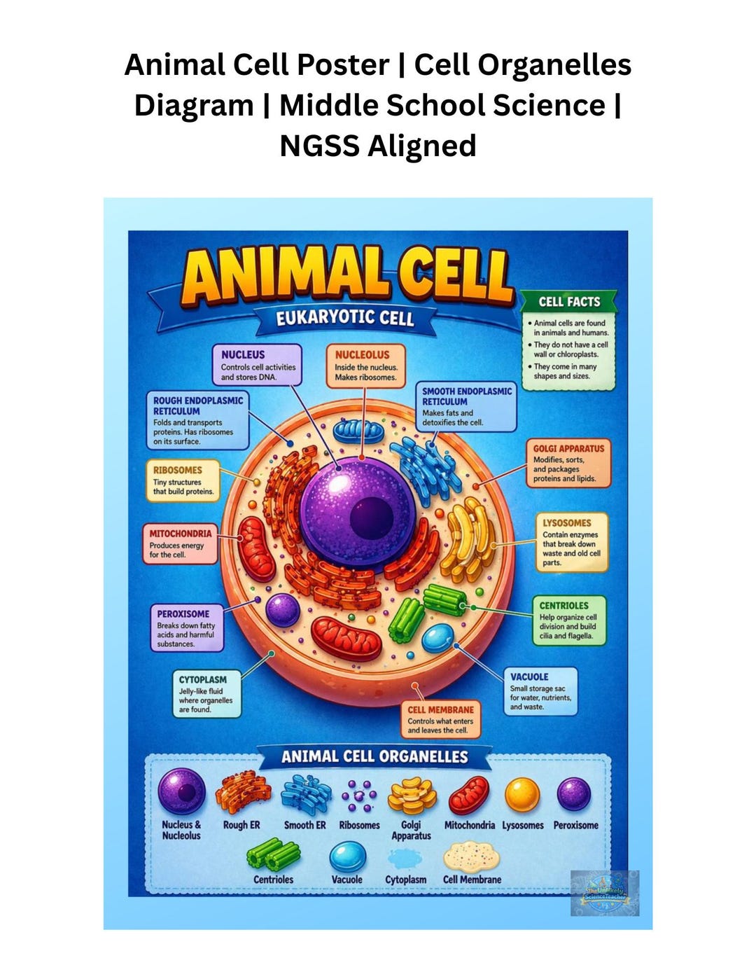 Animal Cell Poster NGSS Aligned PDF - Etsy