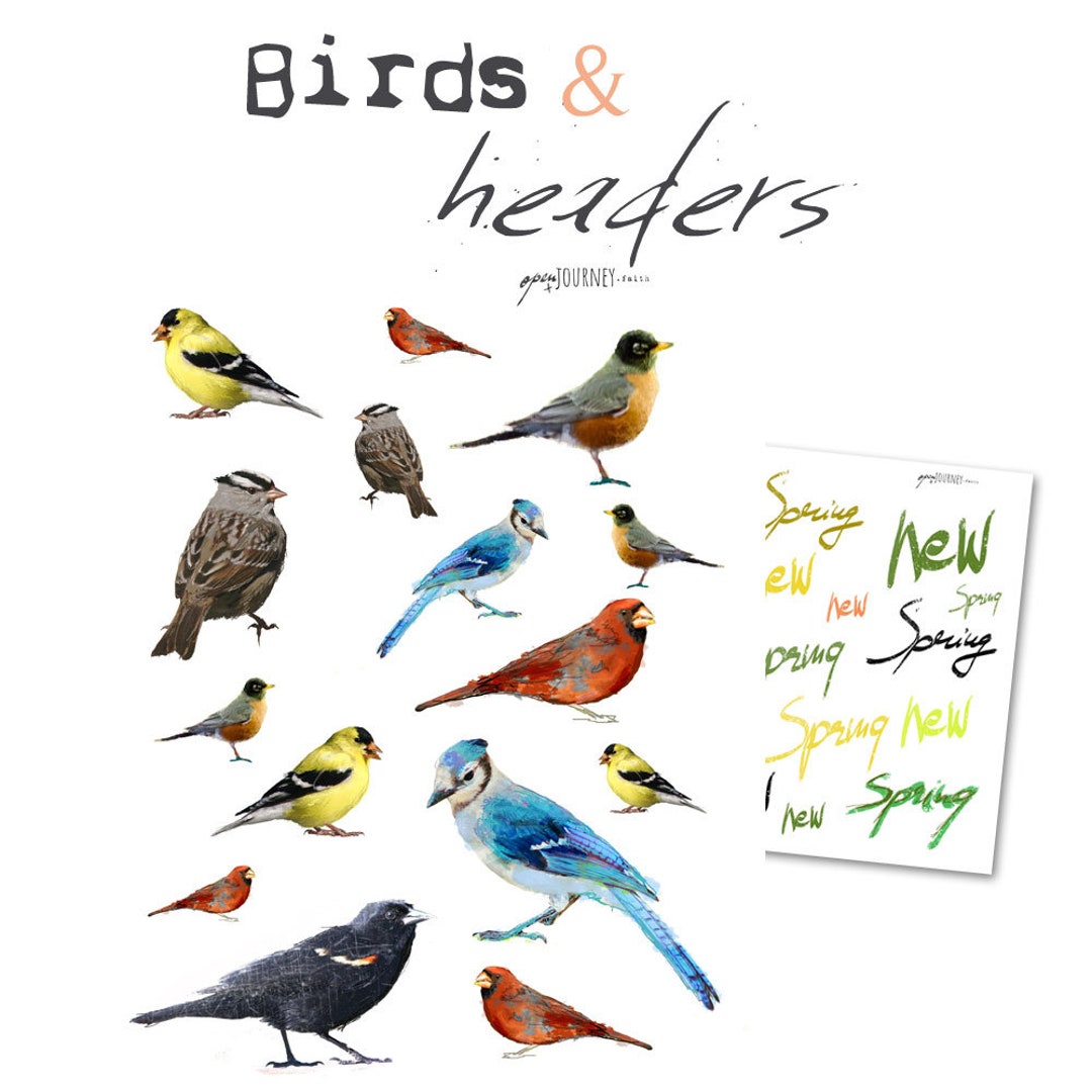 Birds and Headers Illustrations Digital Download for Bible Journaling ...