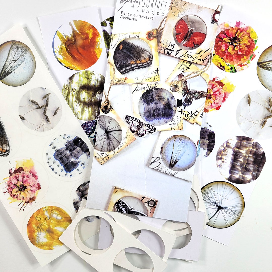 Beautiful 3 - ADD ON Specimen Slide Making Kit and Circular Stickers - Etsy