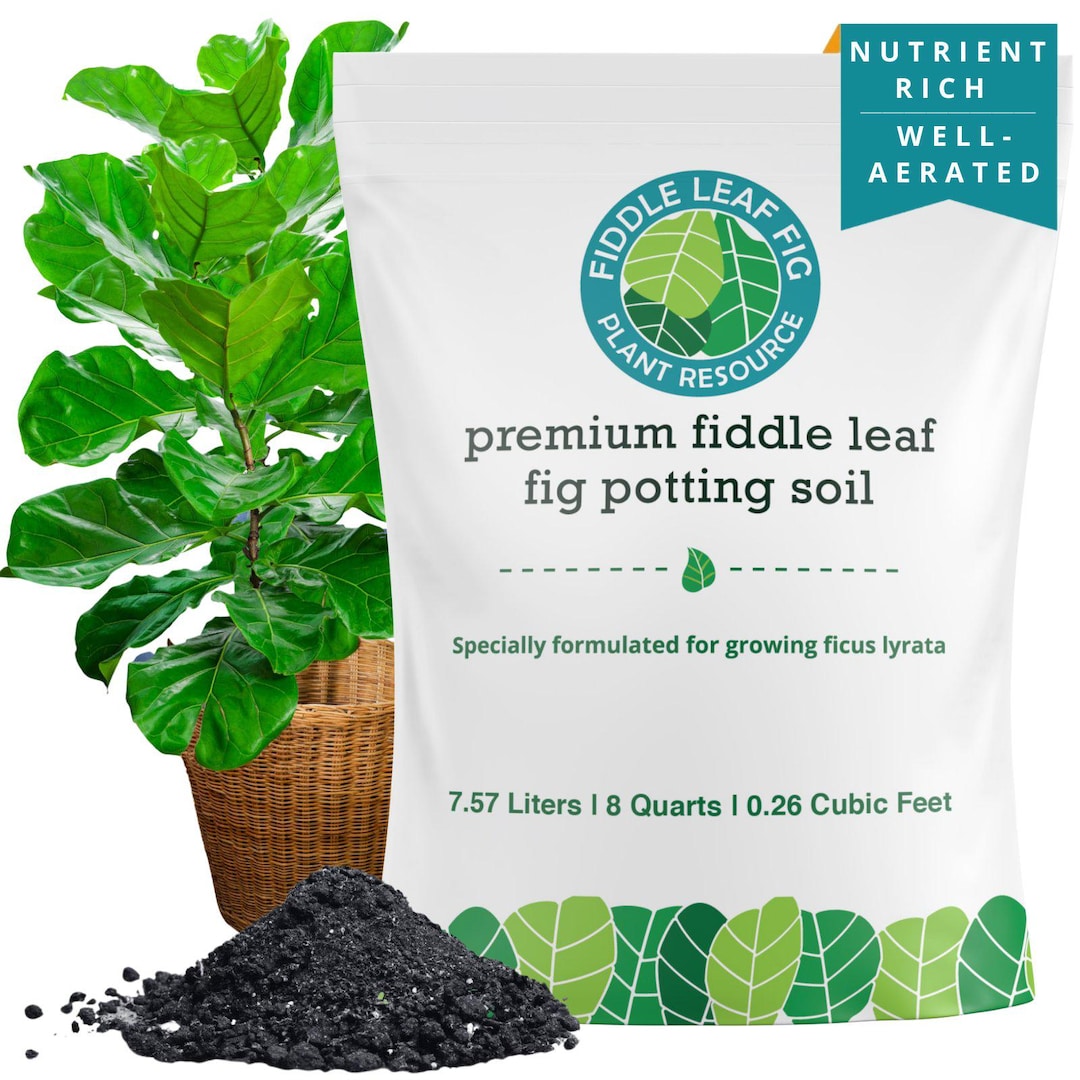 Fiddle Leaf Fig Potting Soil Mix by Fiddle Leaf Fig Plant Resource ...