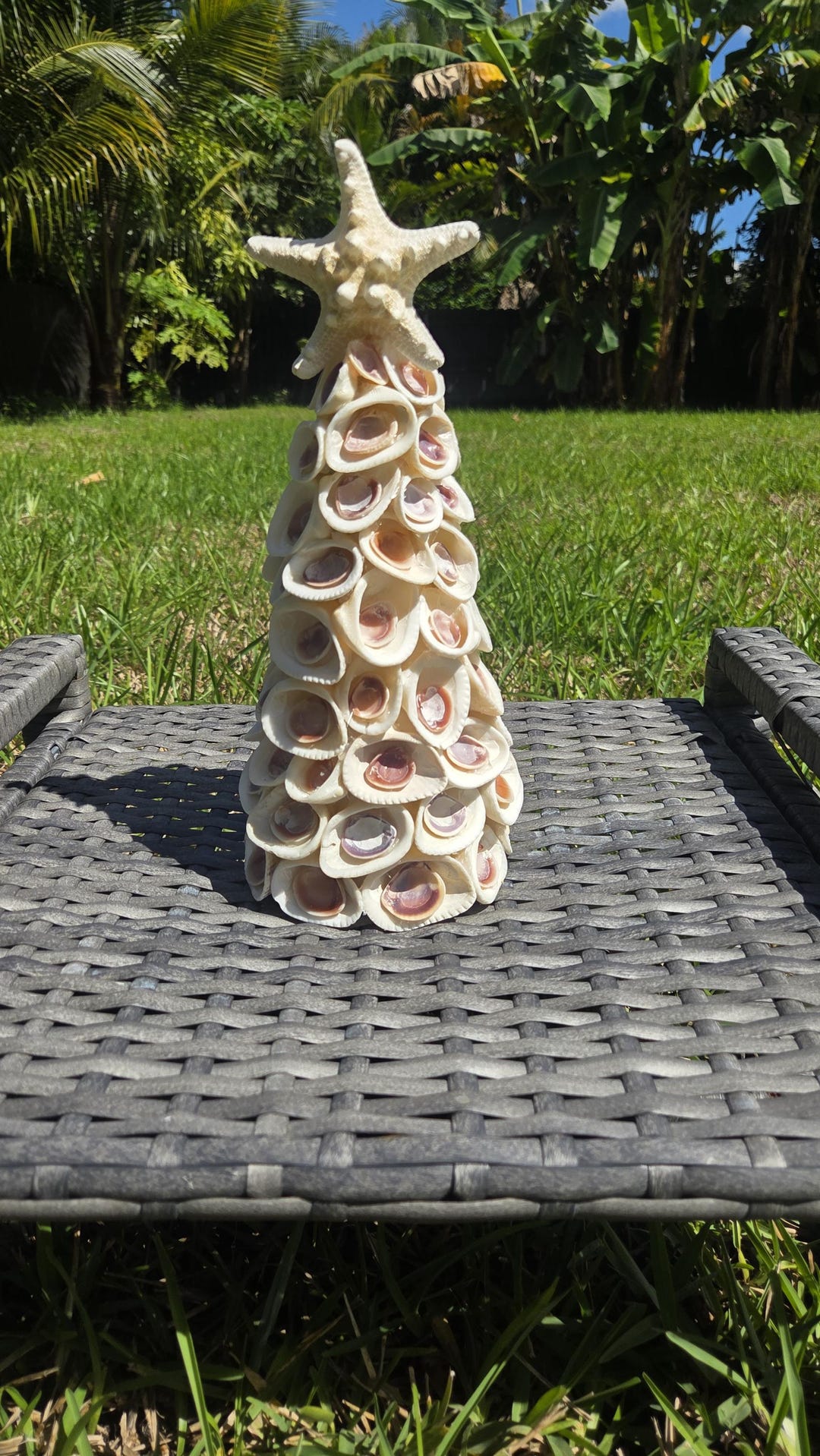 SEASHELL CHRISTMAS TREE 12", Handmade With Natural Shells From Florida ...