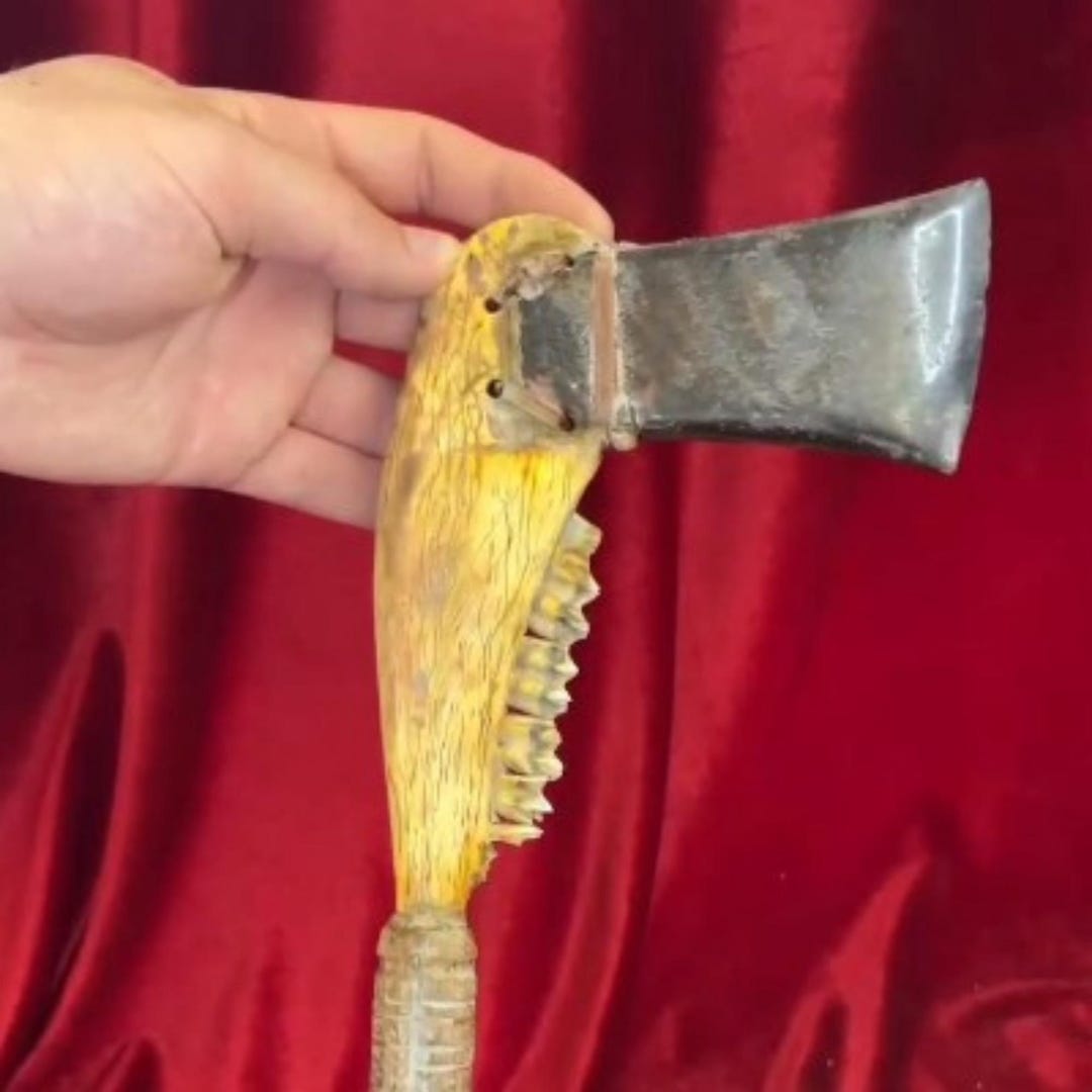 Neolithic Handcrafted Stone Axe With Jawbone Handle Wooden Axe High ...