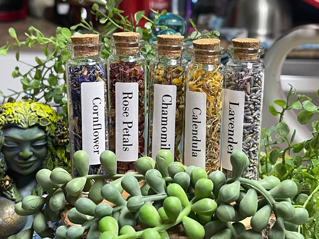Set of 5 Love Spell Herbs, Witch Herb Set, Apothecary Herbs, Love Spell ...