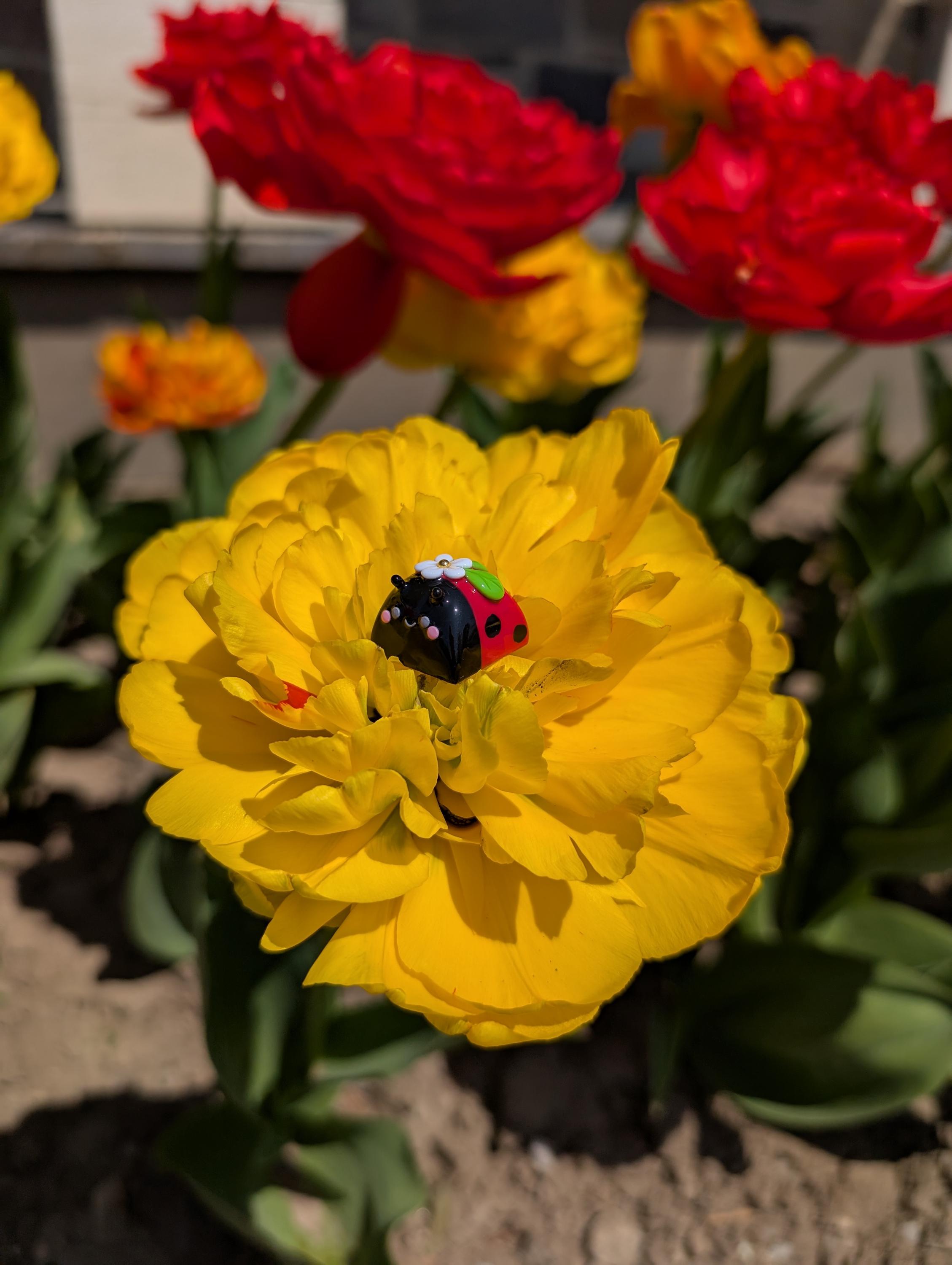 Daisy Ladybug | Cute Artisan Keycap | Handmade - Etsy