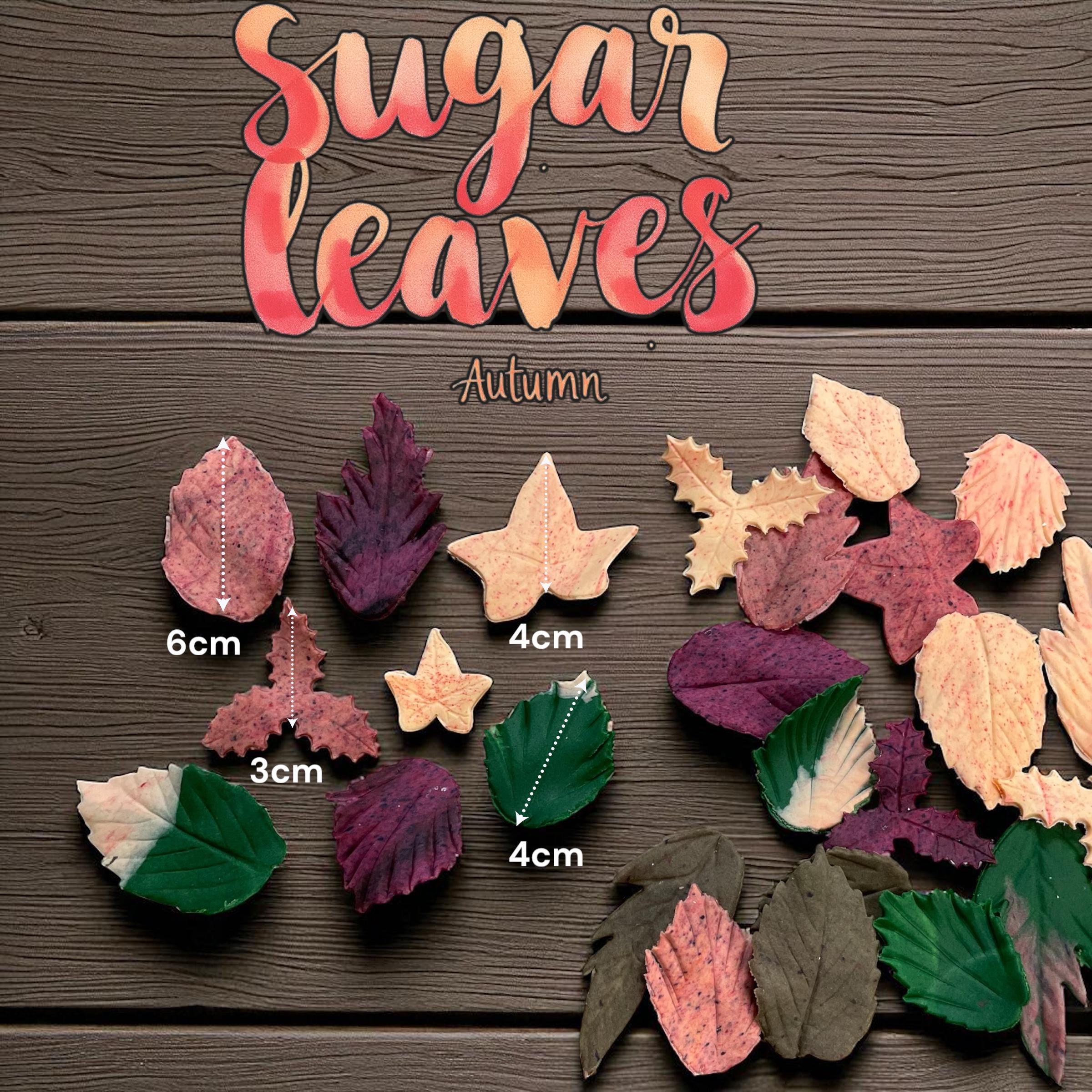 Sugar Paste Leaves, Edible Cake Toppers, Green, Decorations, Roses ...
