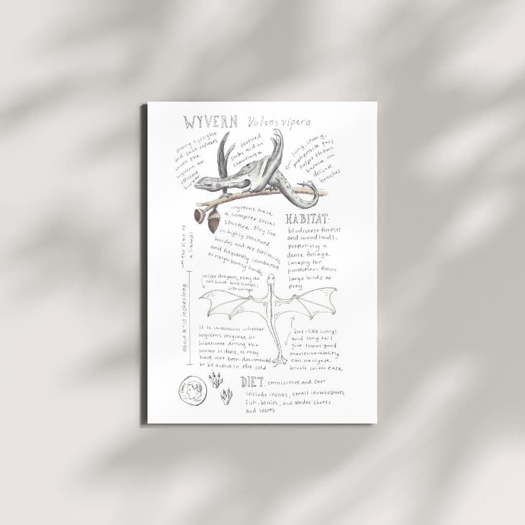 Wyvern Field Guide Print: Hand-illustrated Dragon Art (digital Download ...