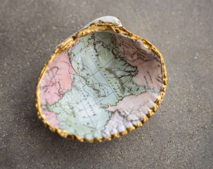 Capiz Shell, Seashells, Shells, Craft Shells, Shells, Coastal Decor ...