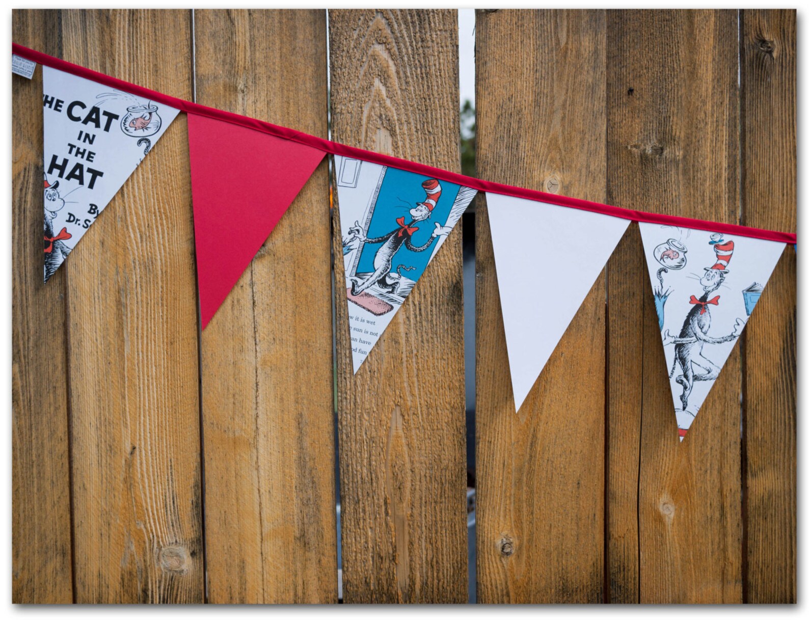 The Cat in the Hat Dr. Seuss Paper Bunting 9 Feet the Cat - Etsy