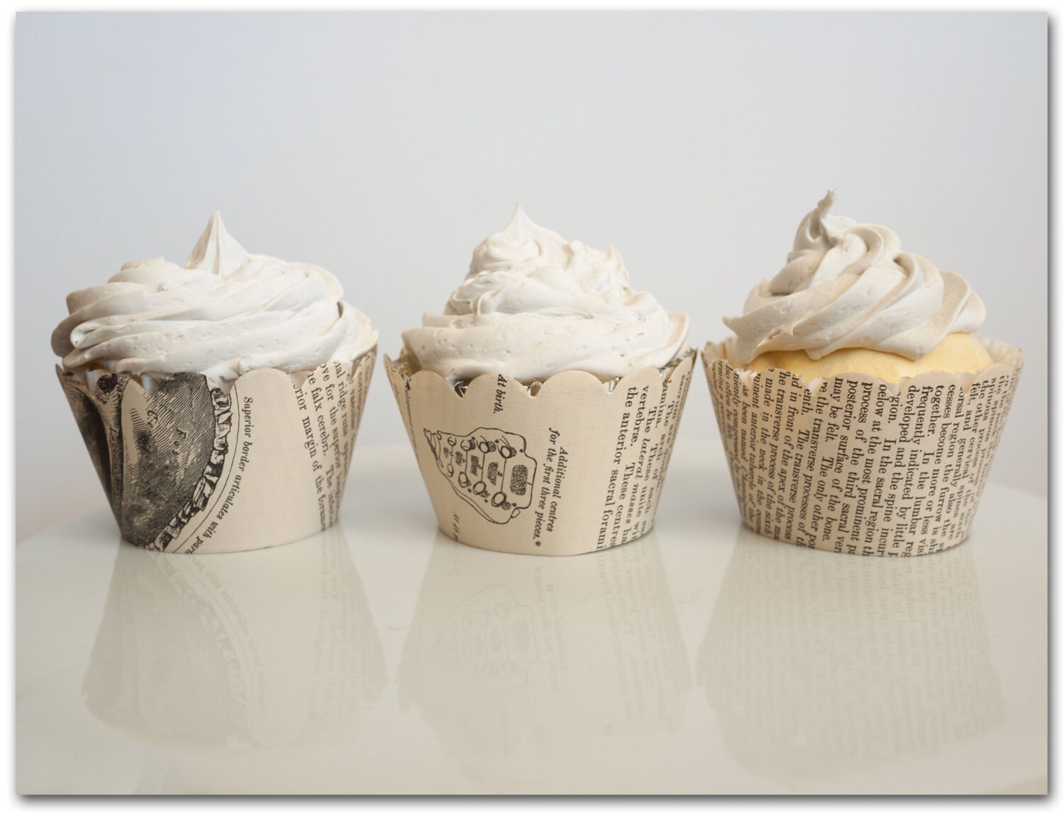 Medical Cupcake Wrappers - Gray's Anatomy - One Dozen Wrappers - Book ...