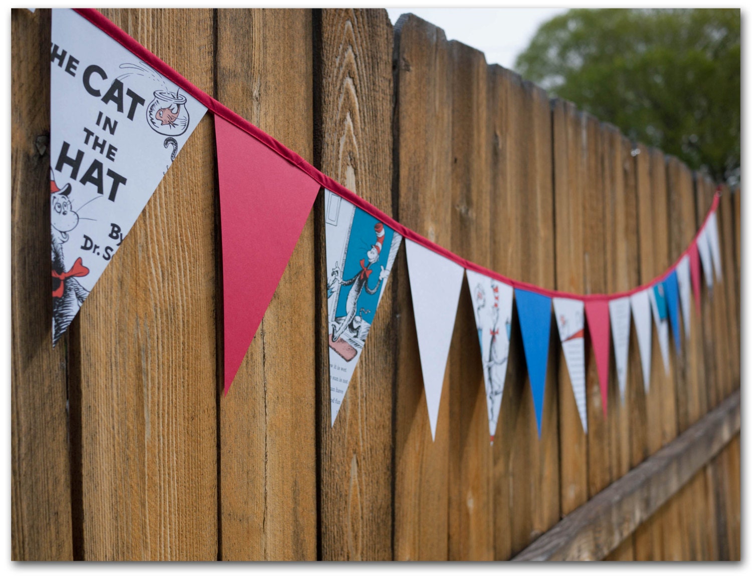 The Cat in the Hat Dr. Seuss Paper Bunting 9 Feet the Cat - Etsy