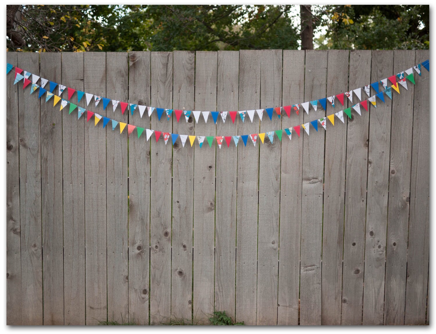 Dr. Seuss Mini Bunting 9 Feet Choose From the Cat in the - Etsy
