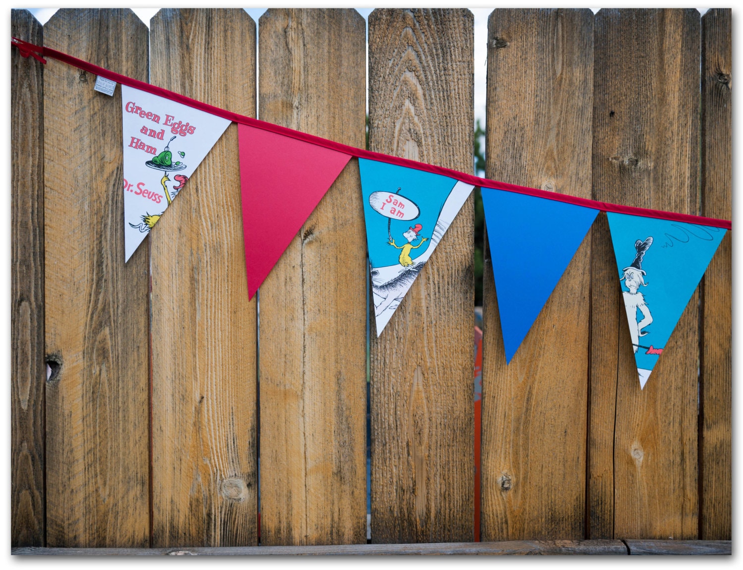 Dr. Seuss Paper Bunting 9 Feet Green Eggs & Ham With Red - Etsy