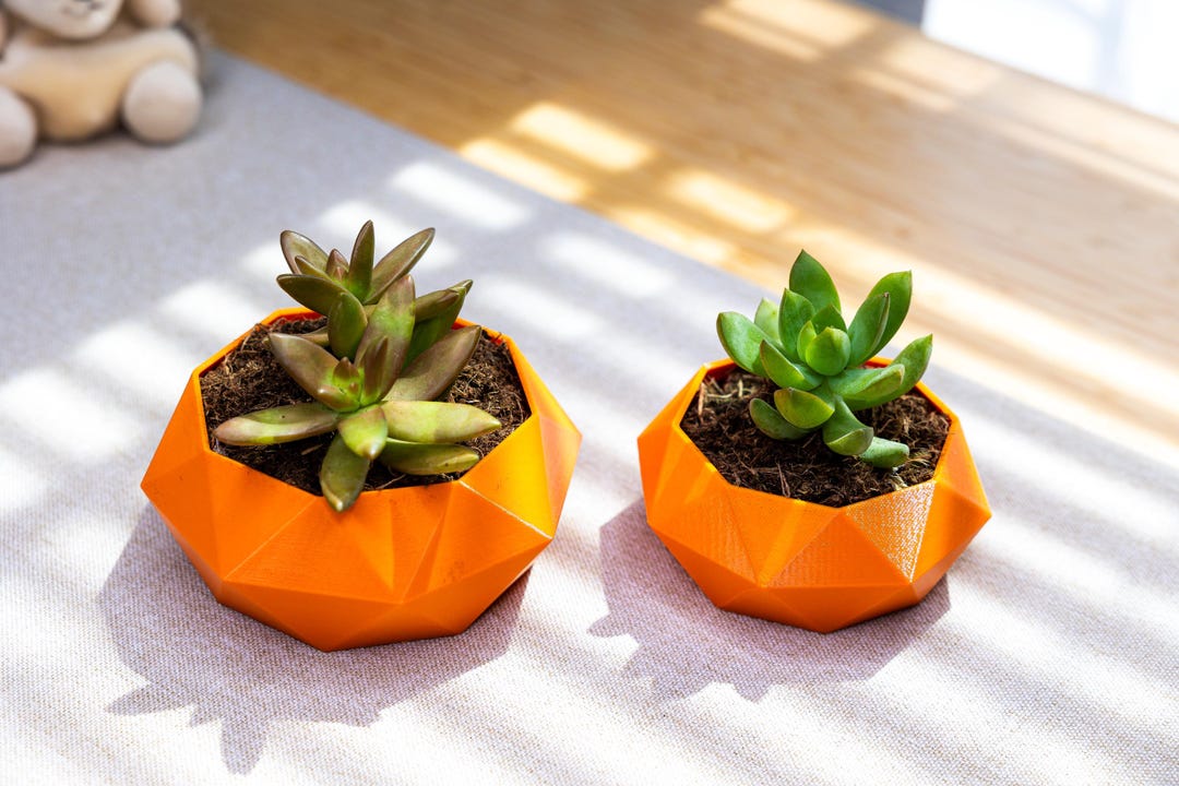 Geo Planter Set – 3D Printed Geometric Mini Planters (set of 2 ...
