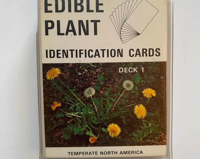 Edible Plants Identification Cards Deck 1 Temperate North America 1975 ...