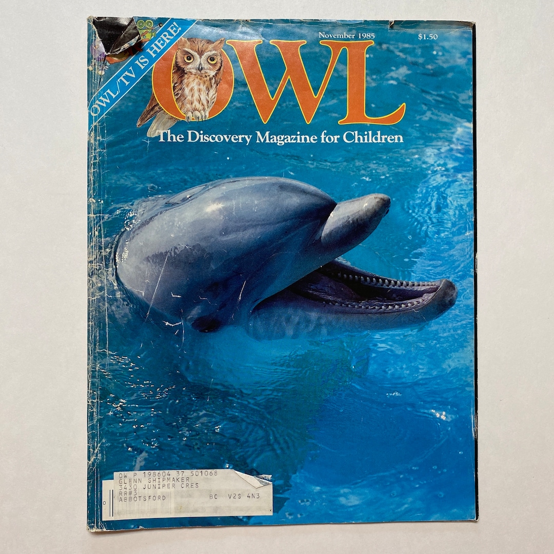 Owl Magazine 1985 November Kids Chickadee Discovery Magazine for ...