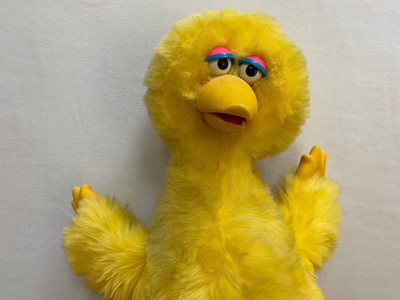 Big Bird How It Works