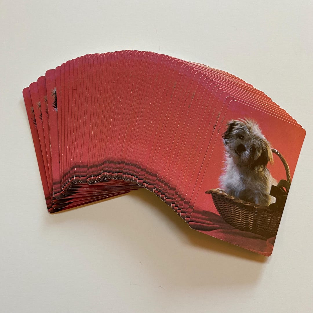 Puppy Dog Playing Cards Complete Deck Vintage Dog in Basket - Etsy