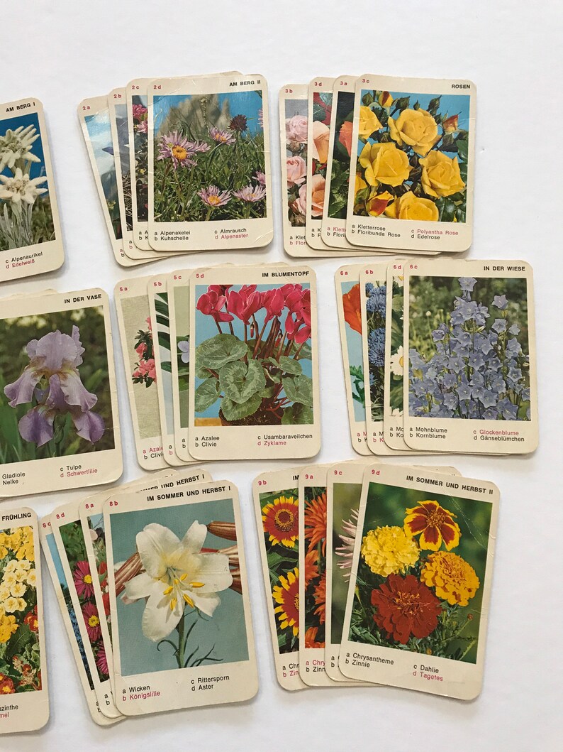 Vintage Flower Identification Cards Blumen Quartett Bestell Nr | Etsy
