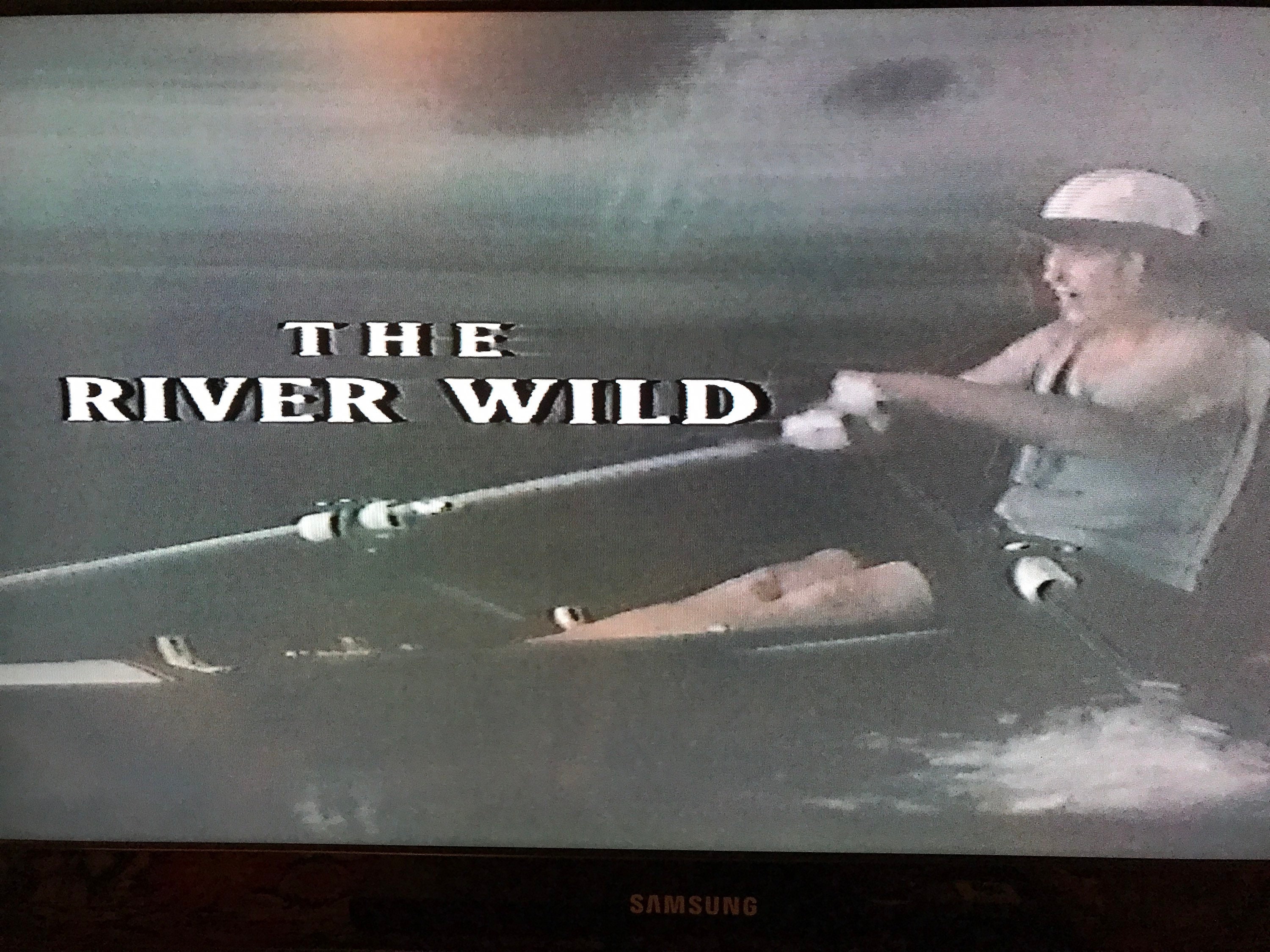 1994 the River Wild VHS Video Full Length Movie Tested Working Meryl ...