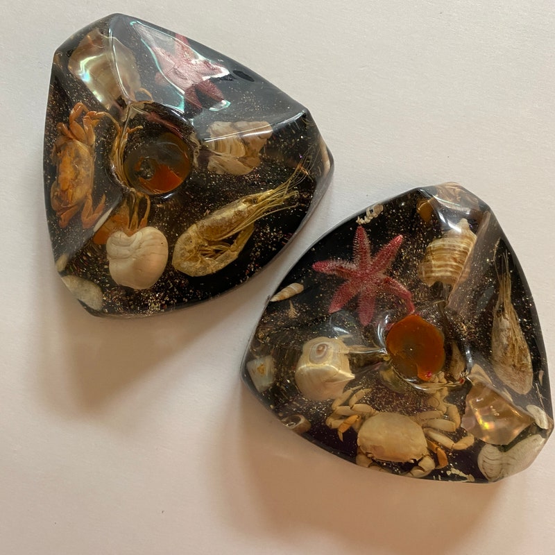 Shells in Lucite - Etsy