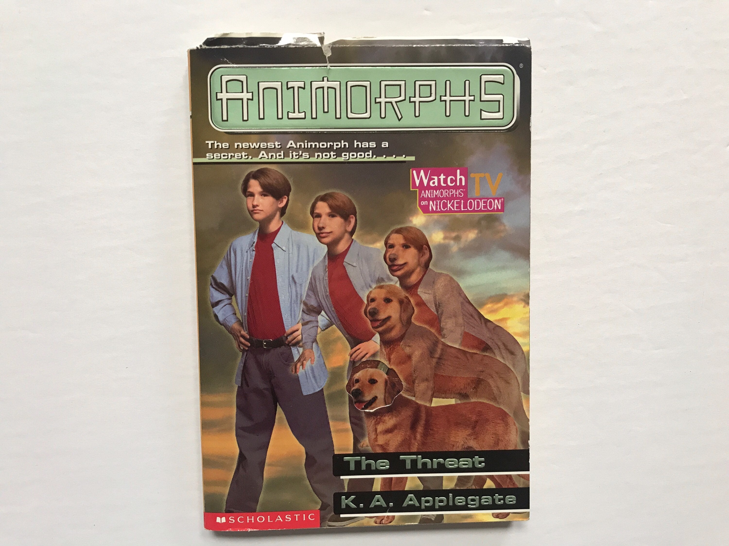 Animorphs 53 Books