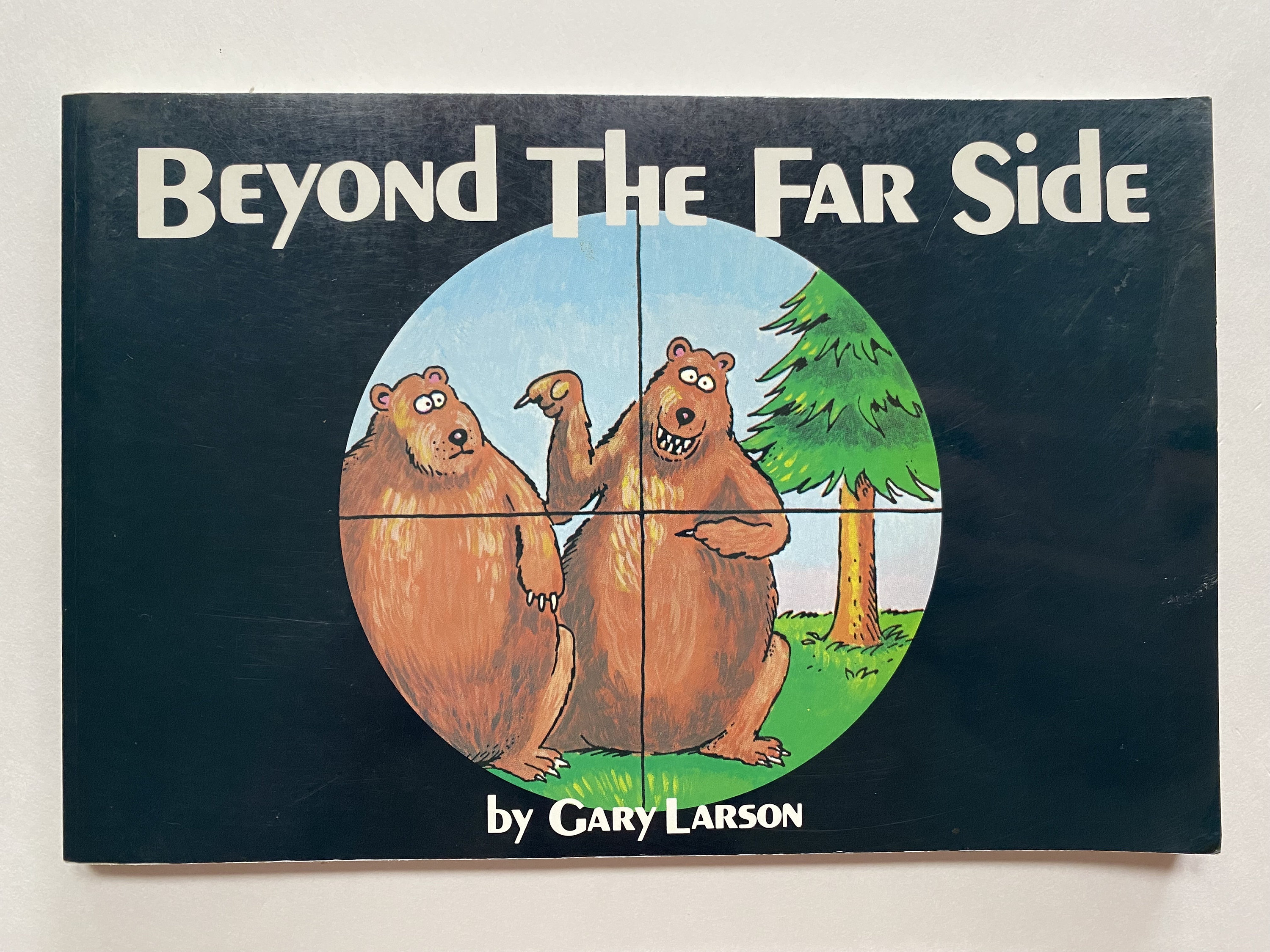 Gary Larson Bears Pointing At Each Other