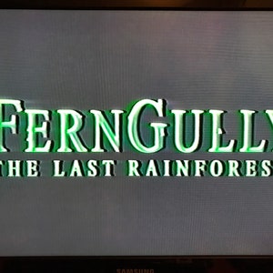 1992 Fern Gully the Last Rainforest VHS Video Tape Movie Full - Etsy