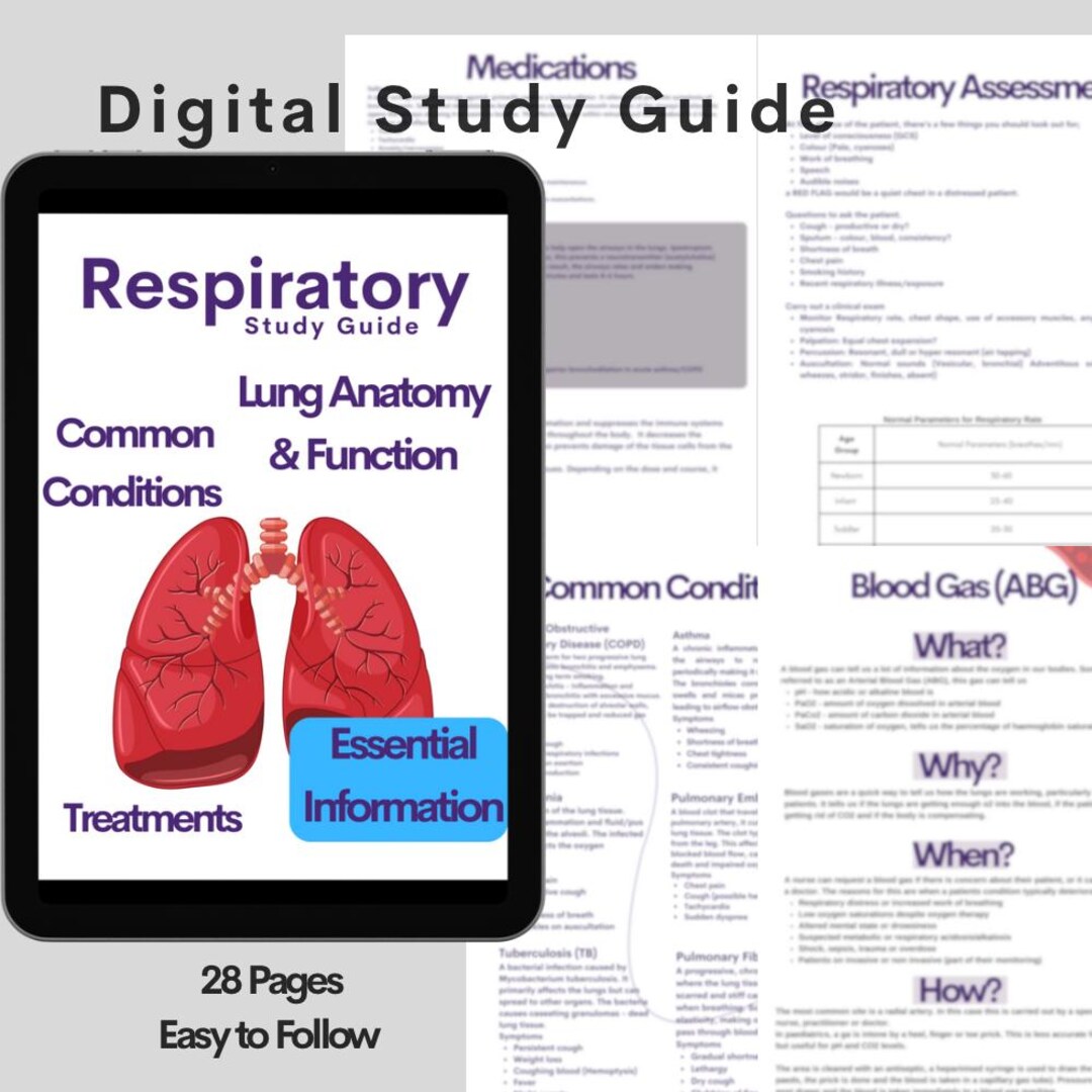 Respiratory Ebook | 28-page Digital Guide for Nurses | Lungs, ABG ...